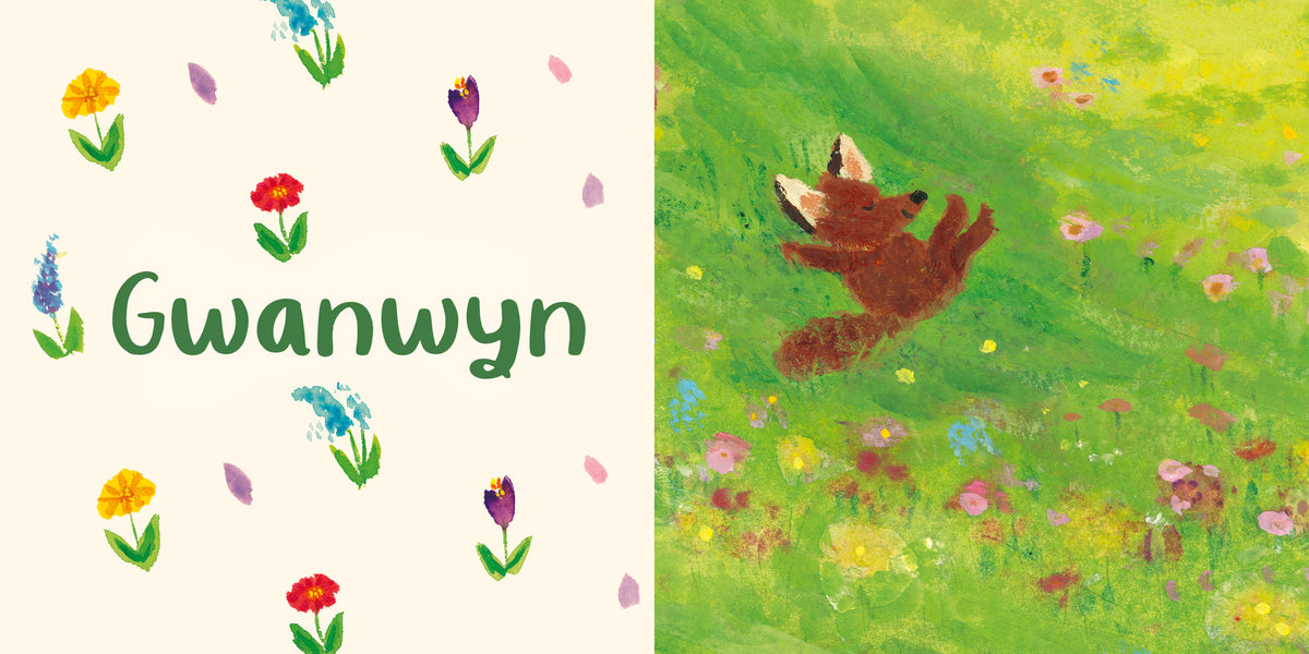 Cynan a’r Tymhorau – Graffeg Books