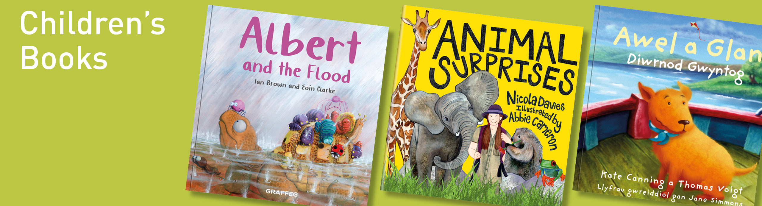 Graffeg Publishing – Graffeg Books