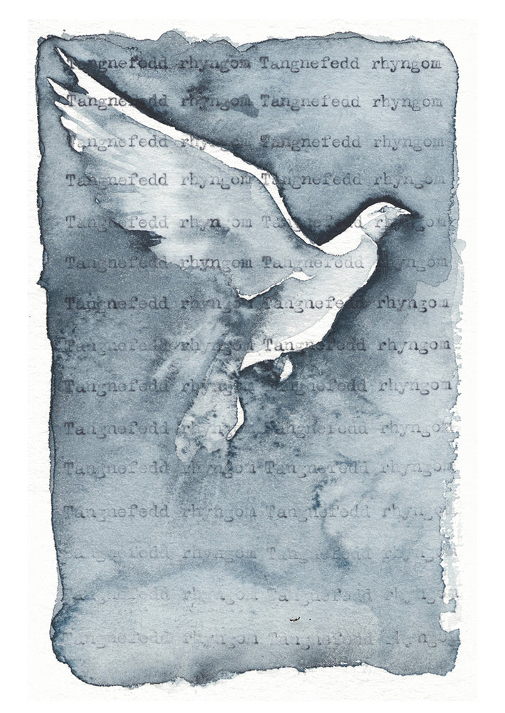 The Dove of Peace Postcard Pack – Graffeg Books