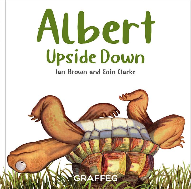 Albert Upside Down | Children’s Picture Book | Ian Brown – Graffeg Books