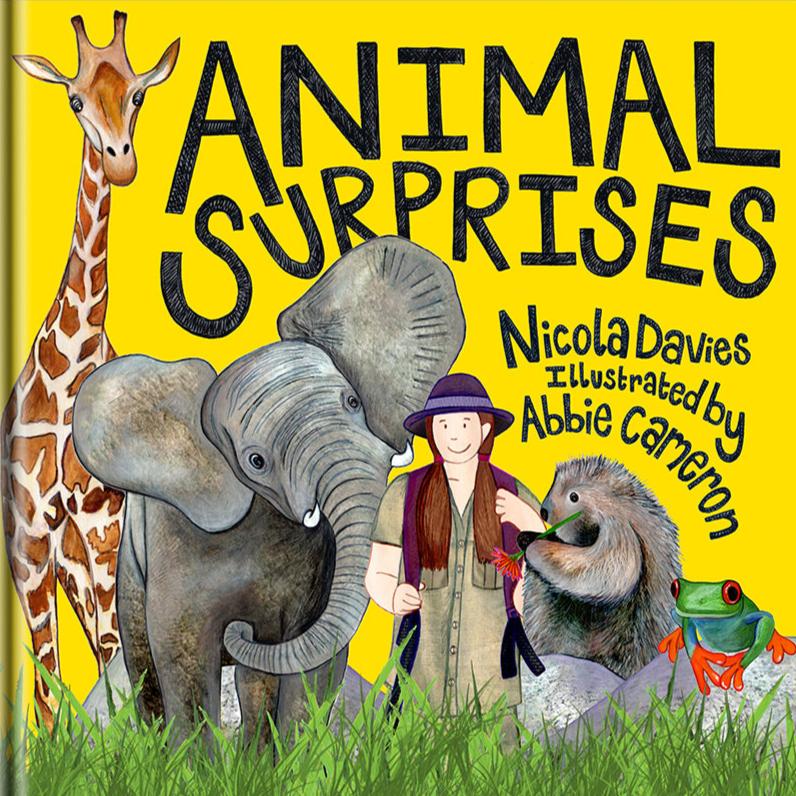 Animal Surprises – Graffeg Books