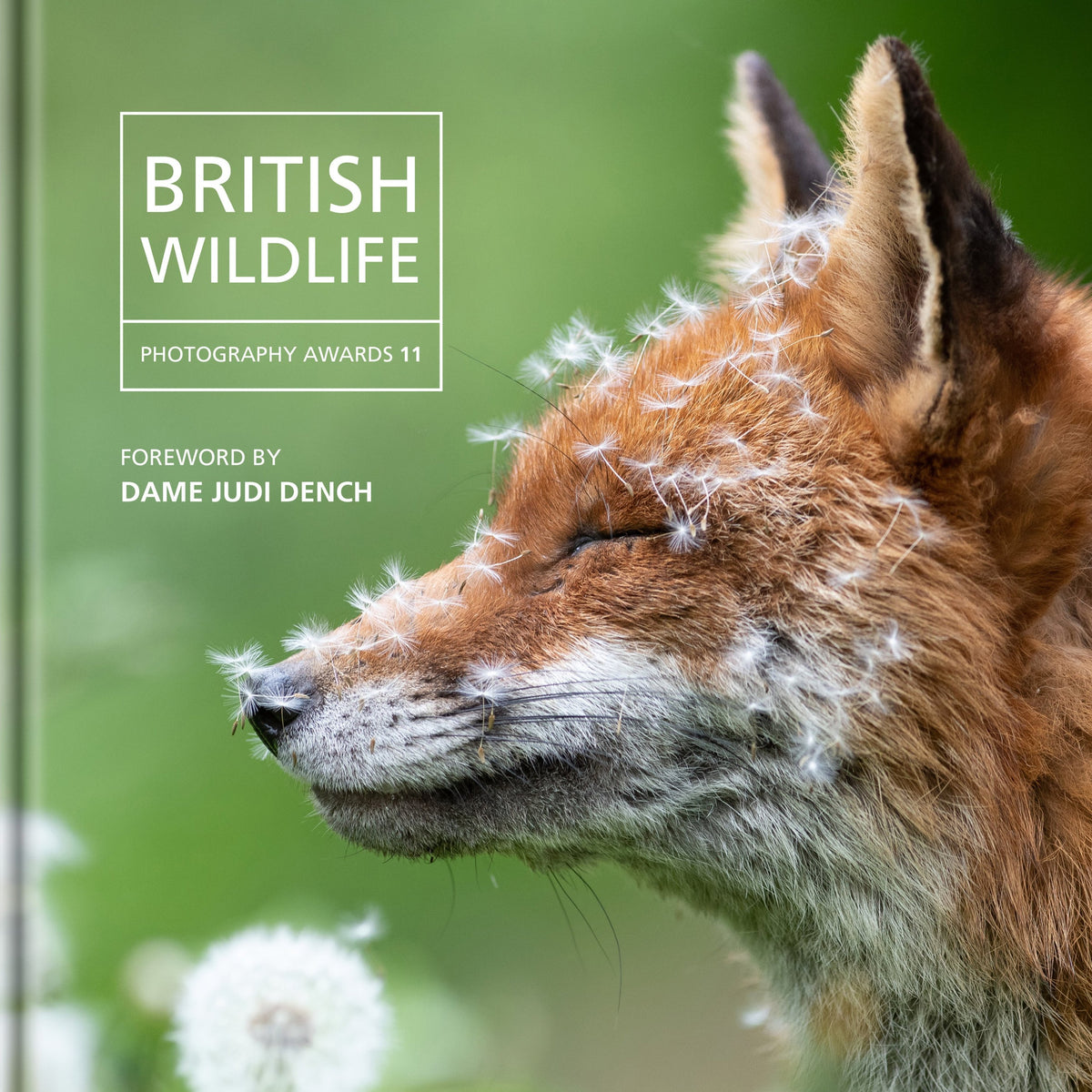 British Wildlife Photography Awards 11 – Graffeg Books