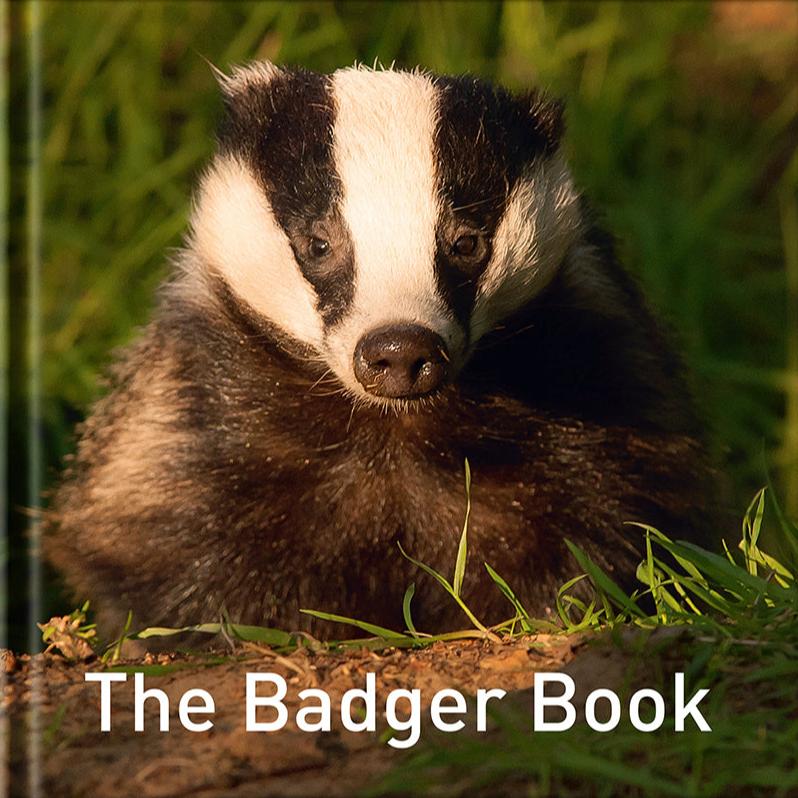 The Badger Book – Graffeg Books