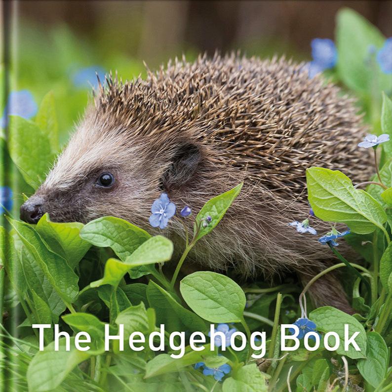 The Hedgehog Book – Graffeg Books