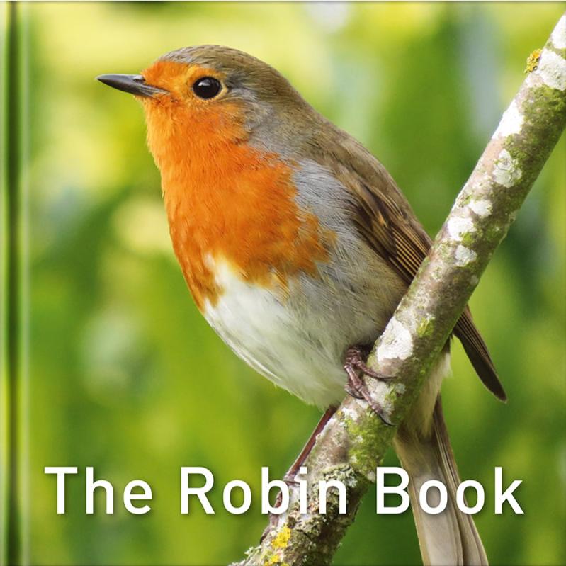 The Robin Book – Graffeg Books
